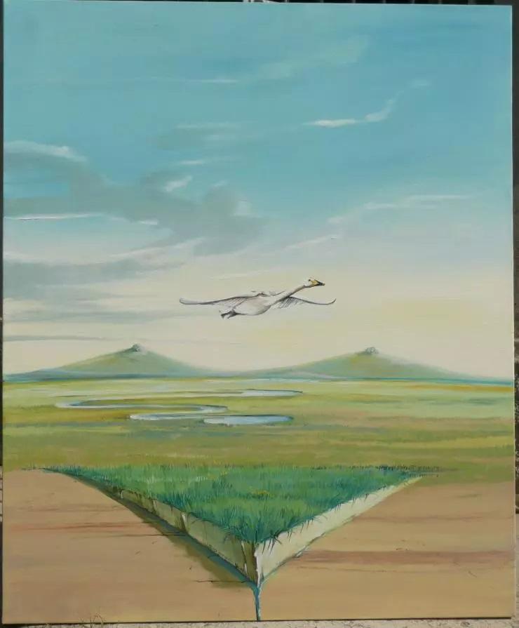 Il mondo ferito di Maria Luisa Montanari