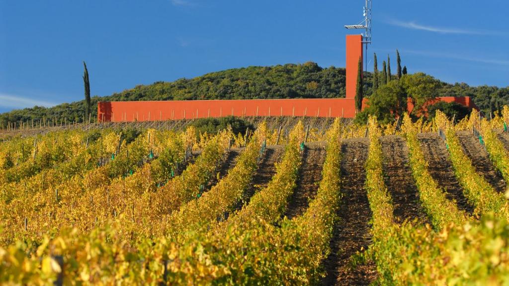 Rocca Winery, la cantina progettata da Renzo Piano